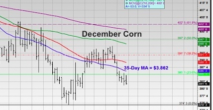 US Corn Weekly Review: February WASDE Report Summary