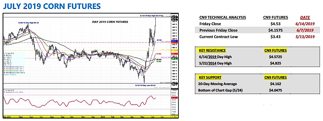 U.S. Corn Futures Forecast: How High Can Prices Go? - See It Market