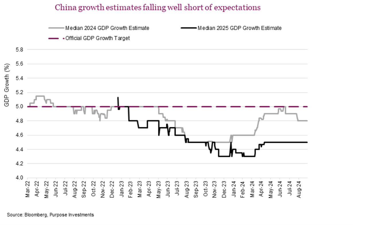 Chinese Stimulus Boosts Stock Market; Will Rally Continue? - See It Market