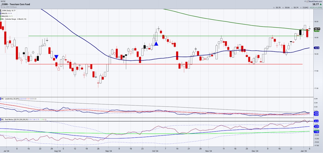Corn Prices Creep Higher, Worth Watching This Month! - See It Market